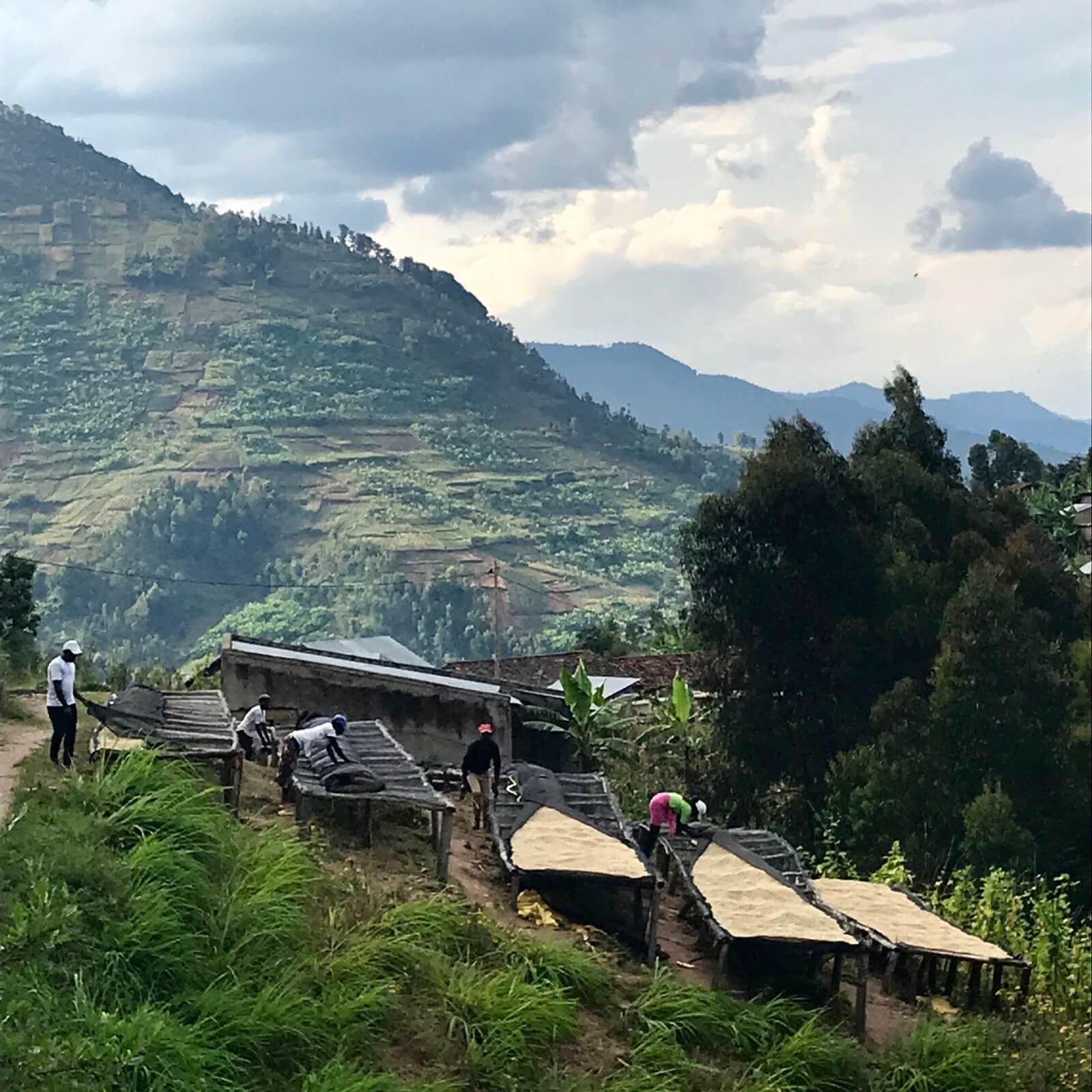 Rwanda BUMBOGO | The Barn | Kofio.cz