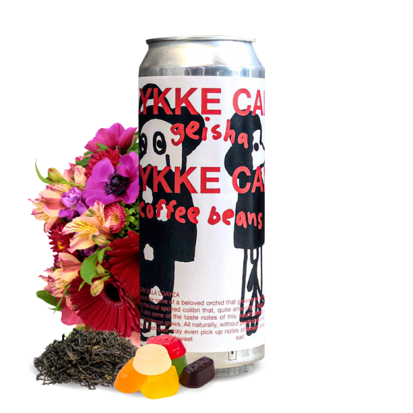 Peru GEISHA | Lykke Kaffegårdar | Kofio.cz