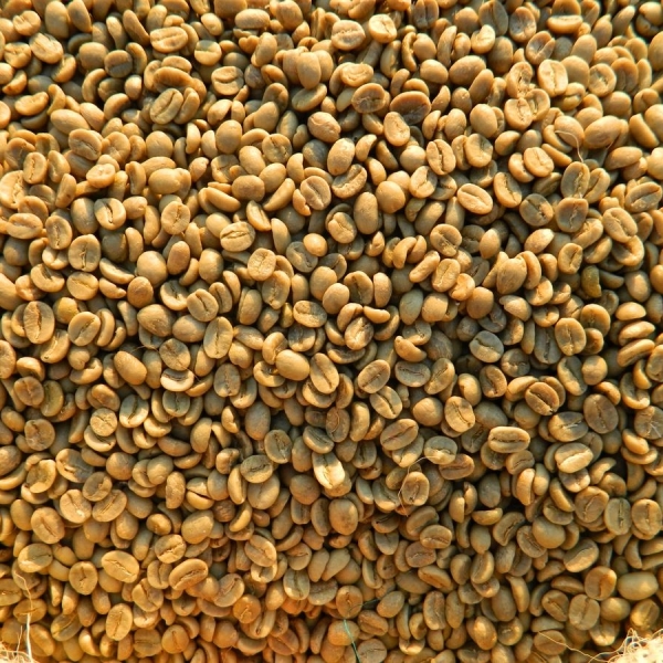 Kolumbie POPAYAN - bezkofeinová | Brew Coffee Plus | Kofio.cz