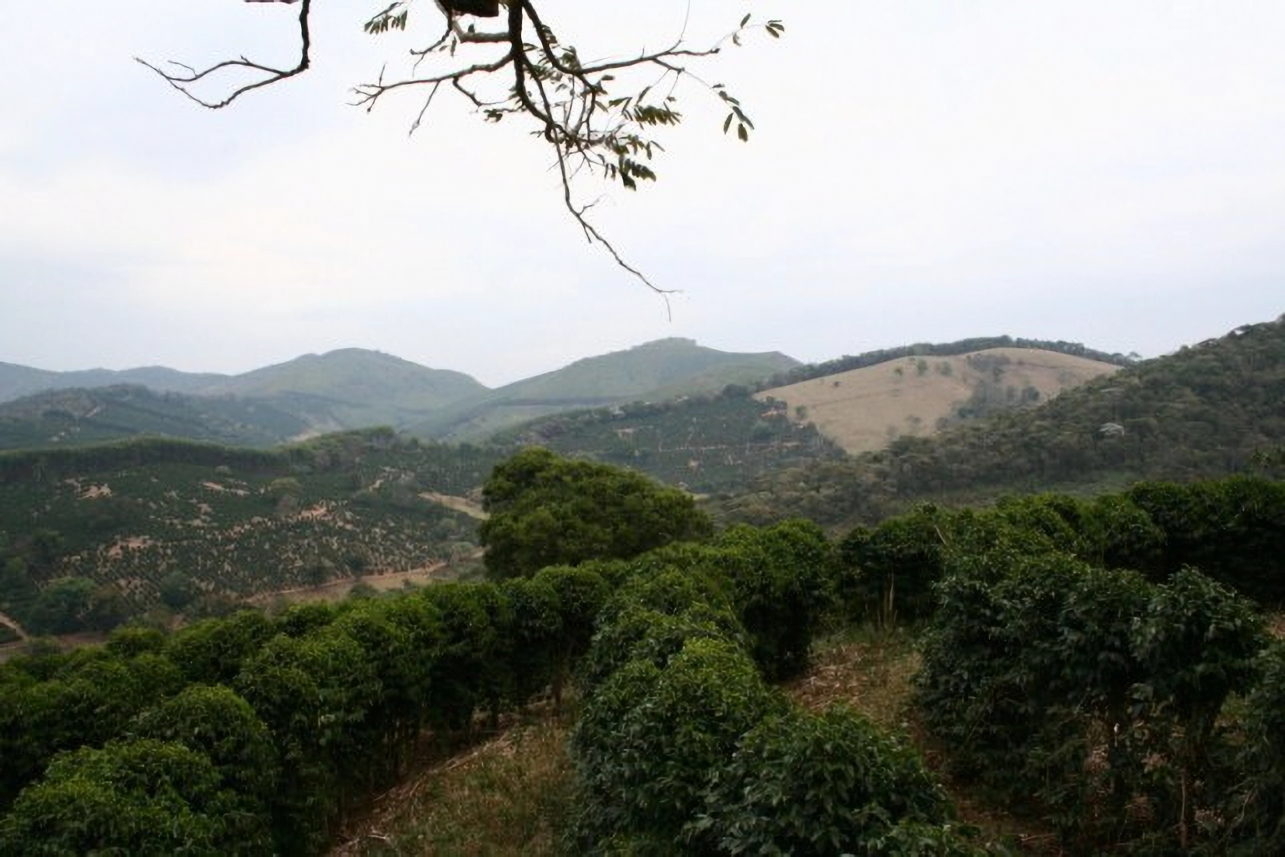 Peru EL CERRO | Square Mile | Kofio.cz