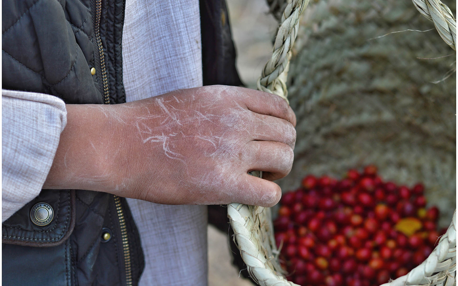 Jemen AQEEQ NX - 100g | Coffea Circulor | Kofio.cz